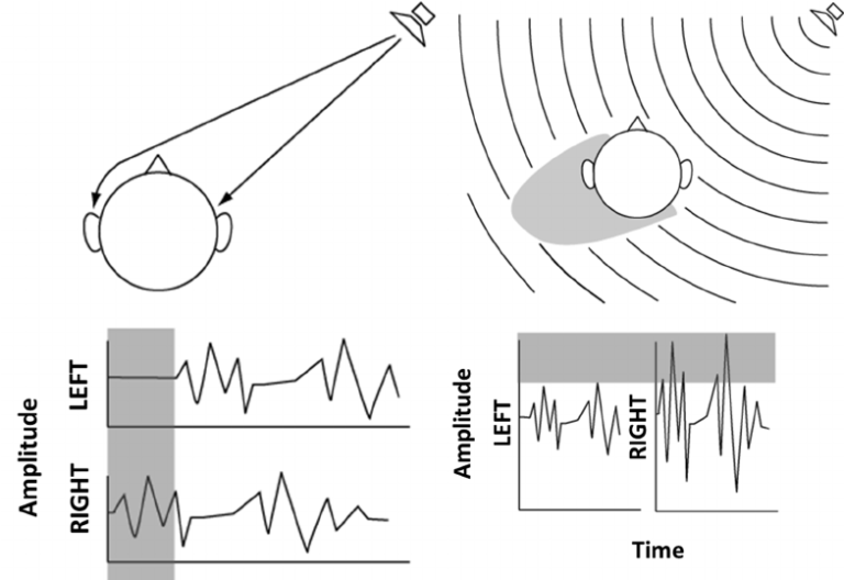 3 5 Auditory Perception Cognitive Psychology